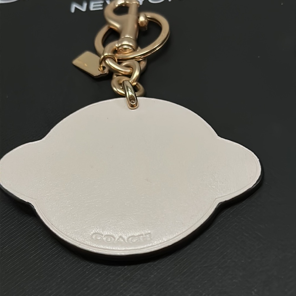 Coach X Nasa Saturn Planet Space Leather Bag Charm Ke… - Gem